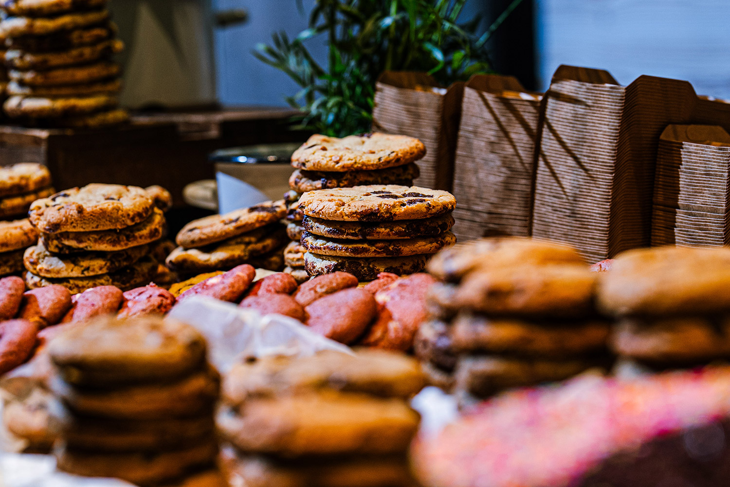 Meta Fair - נוי קייטרינג