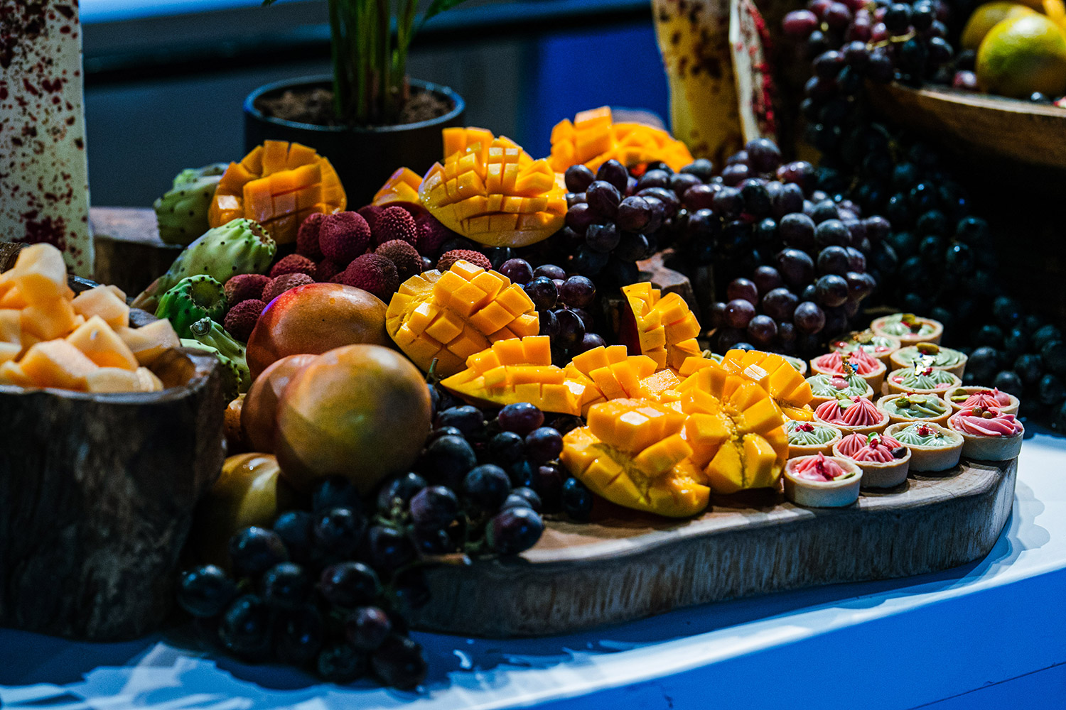 Meta Fair - נוי קייטרינג